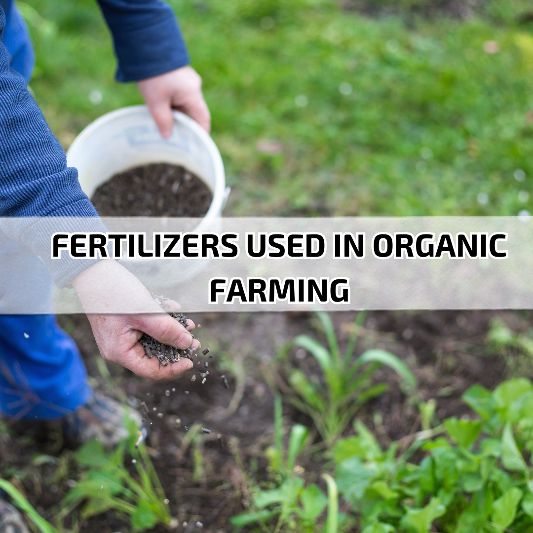 Guide to Organic Farming Fertilizers: Nourish Soil Sustainably