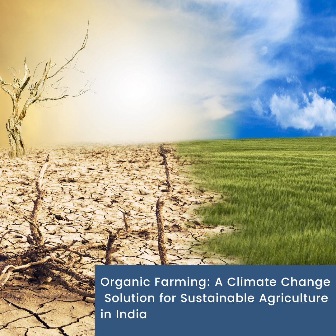 Green Revolution: Organic Farming as a Climate Change Solution